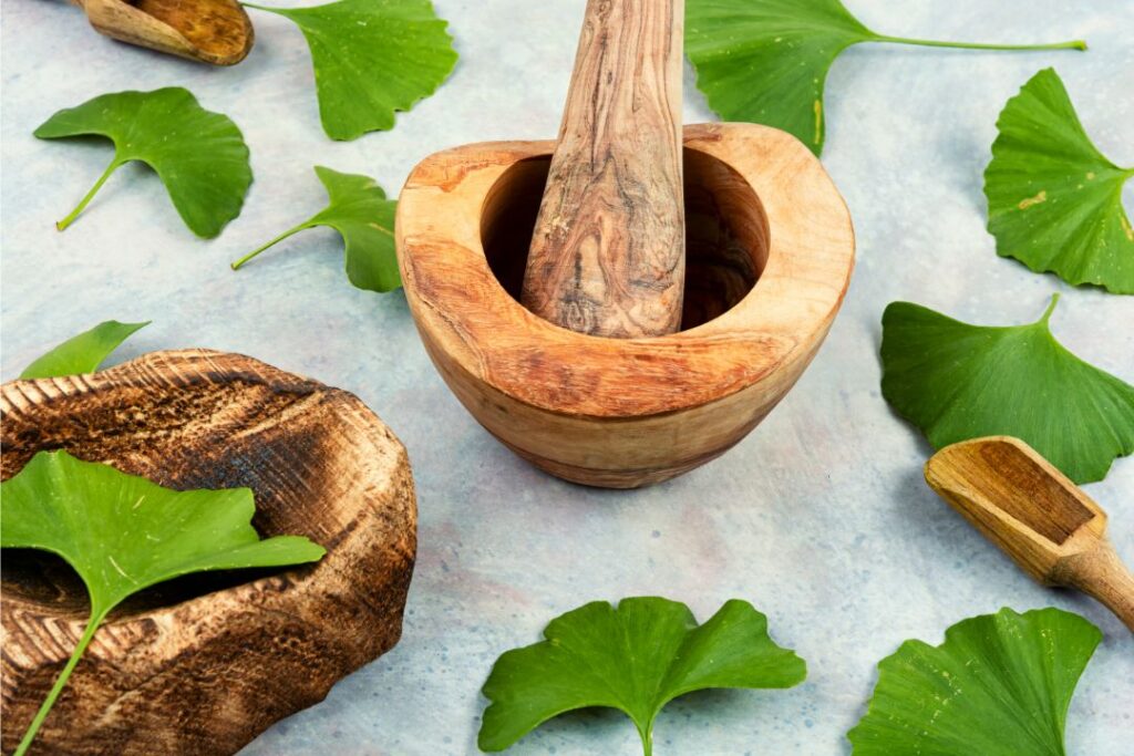 8 Benefits of Ginkgo Biloba - Ageless Nutrition